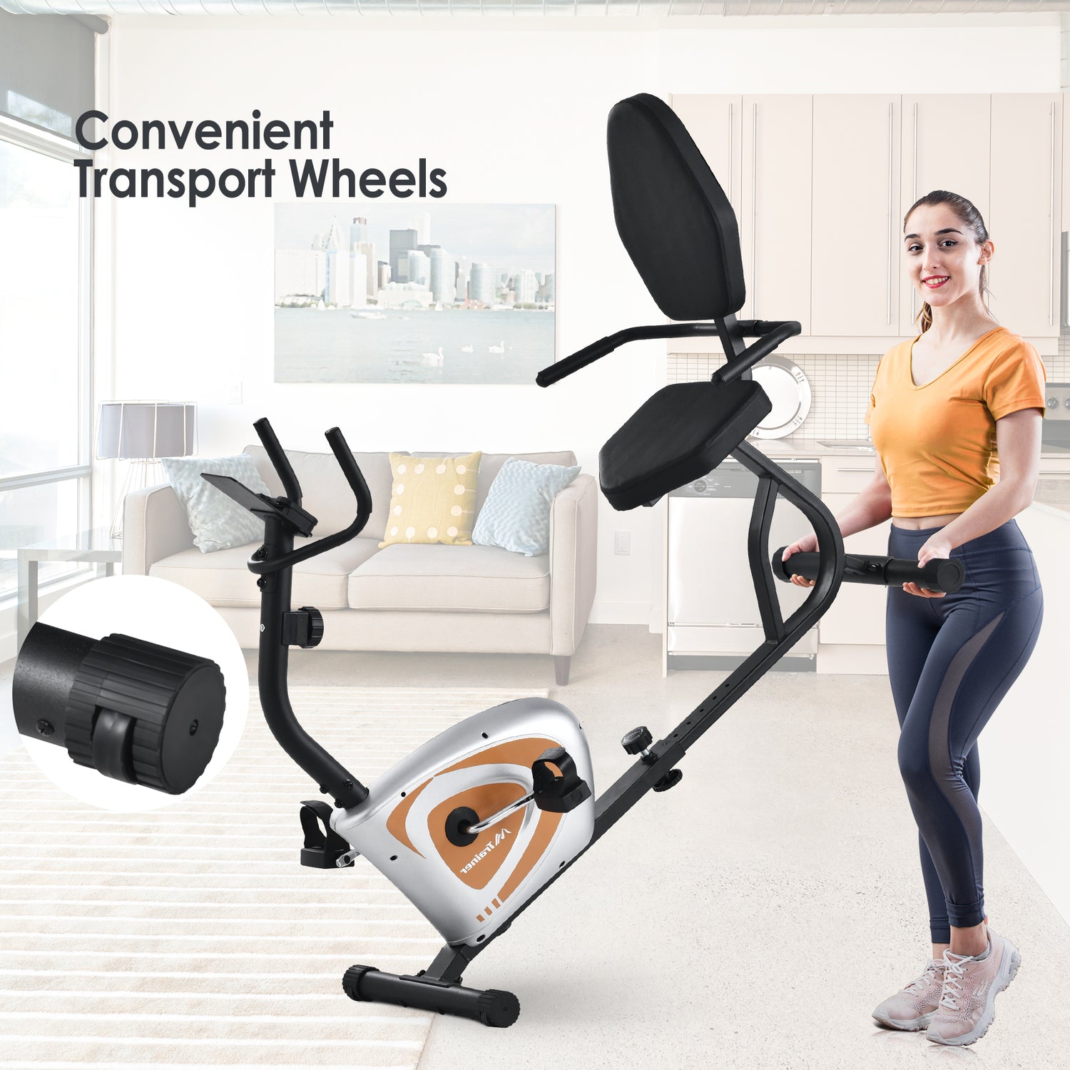 Home Exercise Equipment, Recumbent Bike with Digital Monitor, 8-Level ...